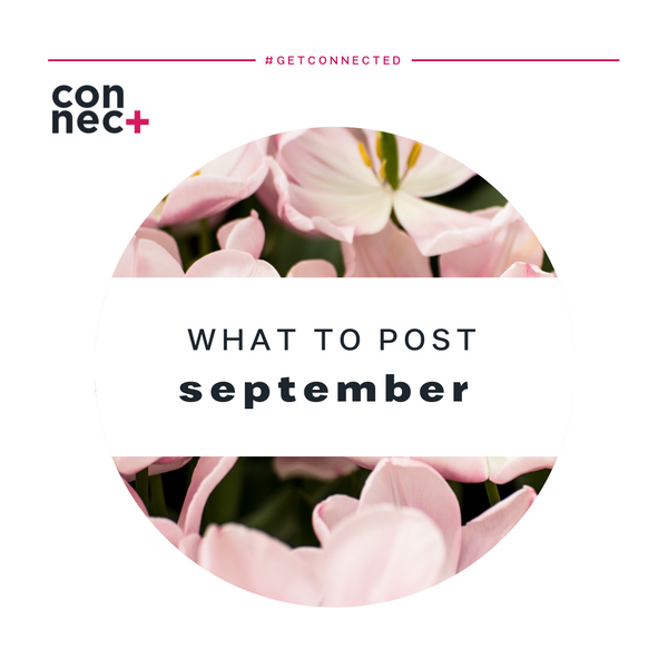 Ideas For Your September Content Calendar | Connect Plus